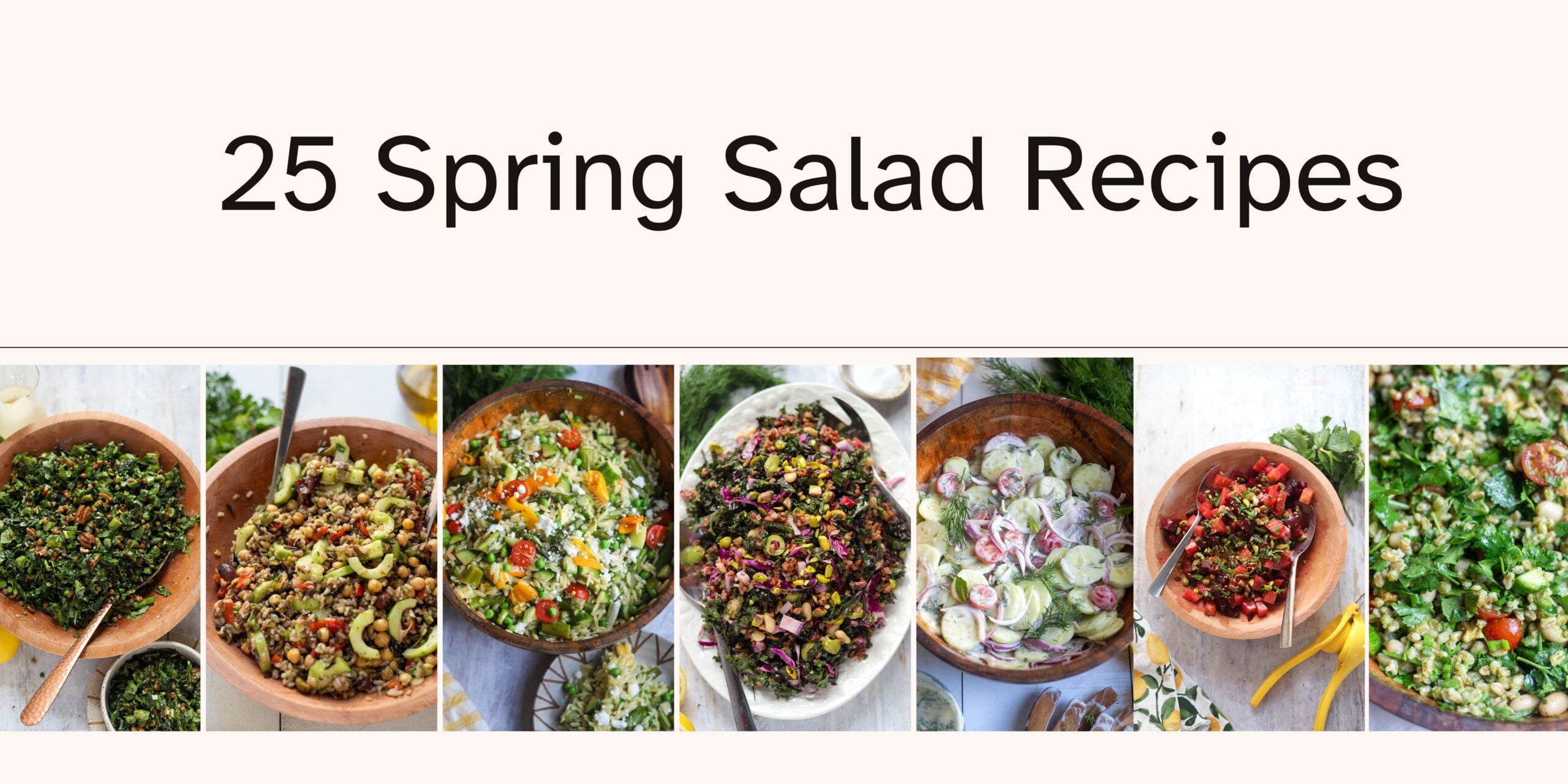 25 Spring Salad Recipes You Need To Try - BetterFoodGuru